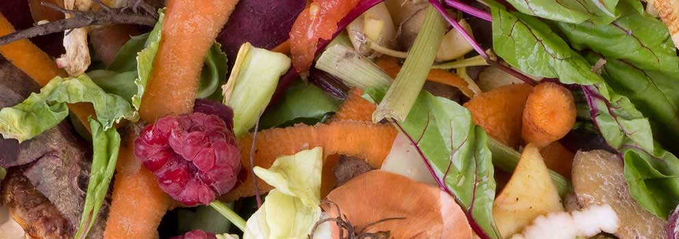 Food Waste Recycling & Collection - Direct365