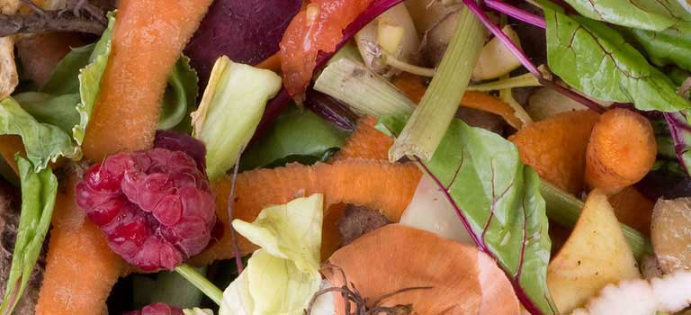 Food Waste Recycling & Collection - Direct365