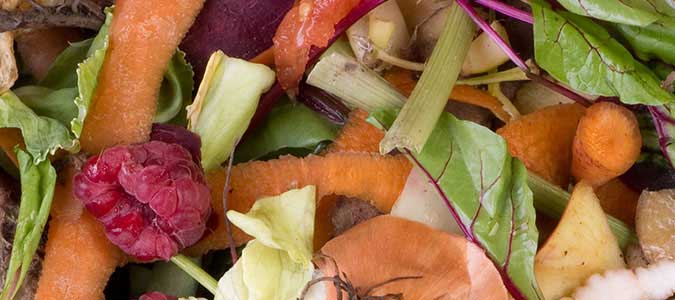 Food Waste Recycling & Collection - Direct365