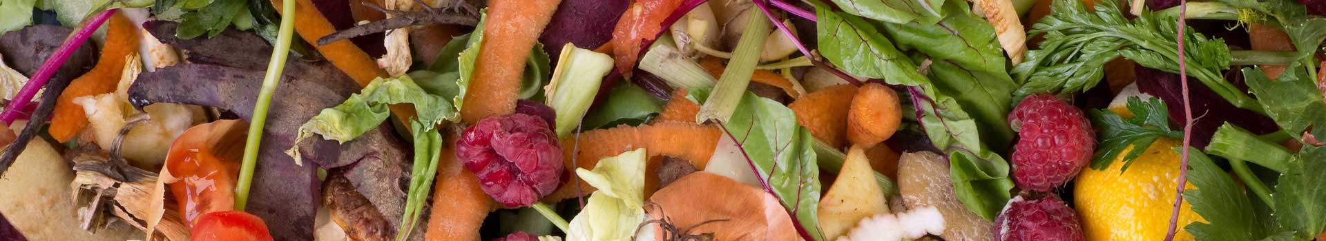 Food Waste Recycling & Collection - Direct365